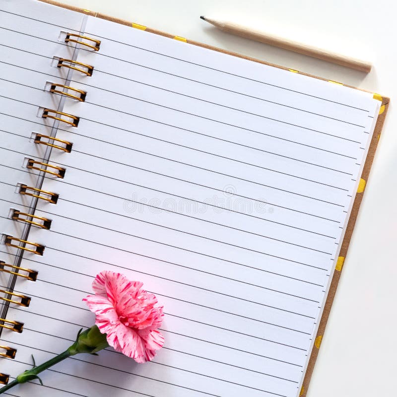Opened Notebook with a Pink Flower on a White Blank Background Stock ...