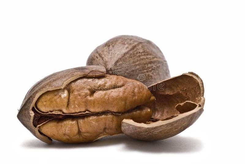 An Opened Nut and a Whole One. Stock Image - Image of branch ...