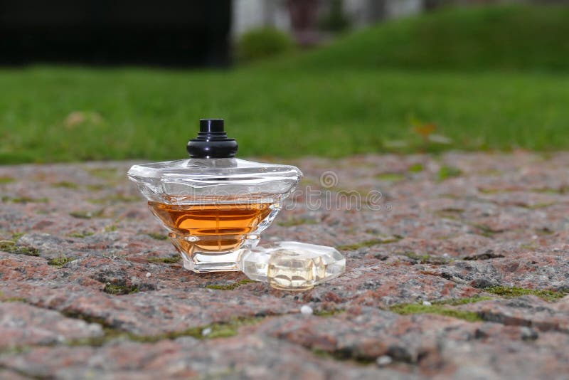 Opened Perfume bottle stock photo. Image of cosmetic - 232687310