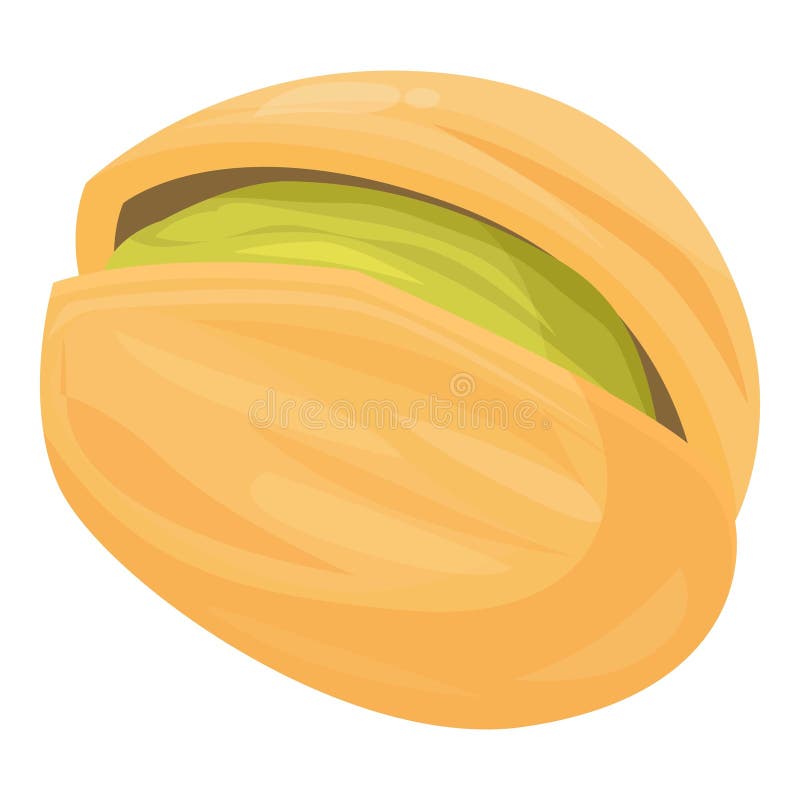 Opened Pistachio Showing Nut Inside Shell Stock Vector - Illustration ...