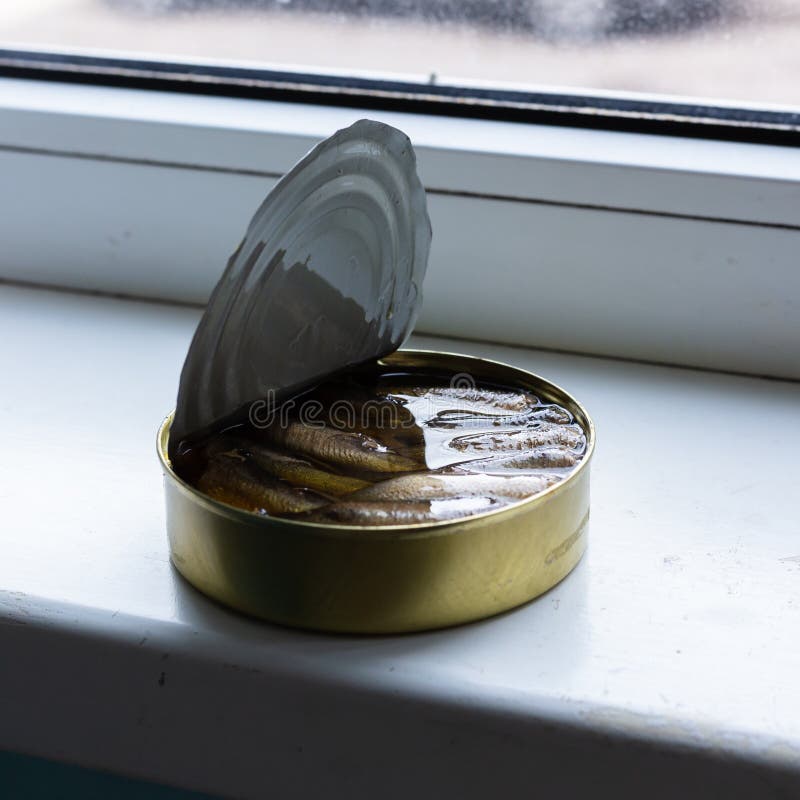 Opened tin of canned fish stock photo. Image of metal - 195985844