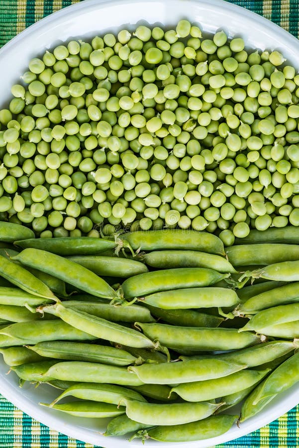 Opened and Unopened Pea Pods in White Ceramic Bowl . Stock Image ...