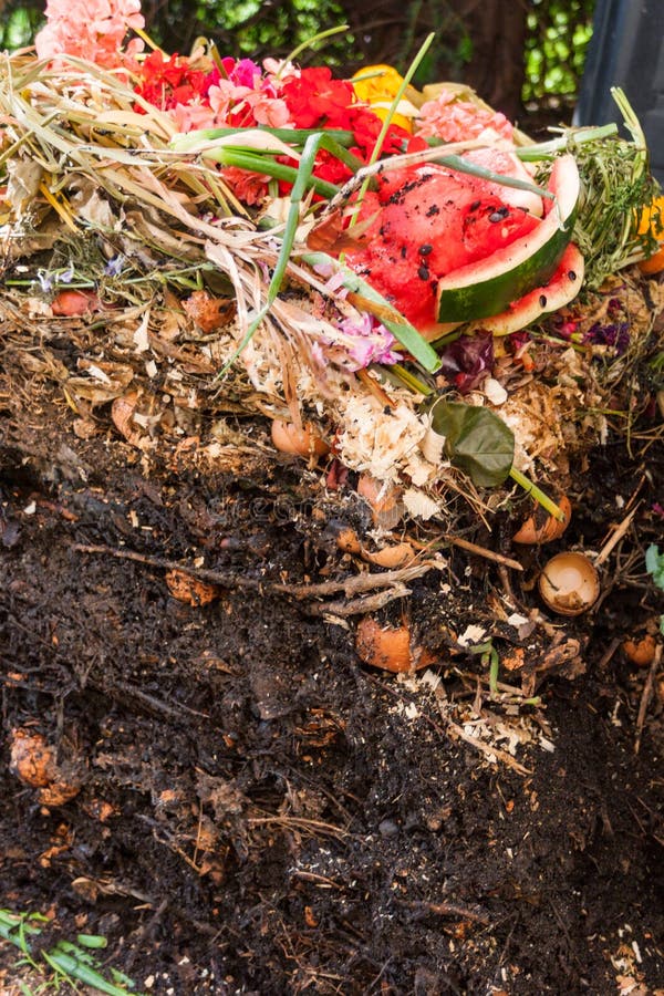 Opened up compost pile stock image. Image of fresh, dump - 85624105
