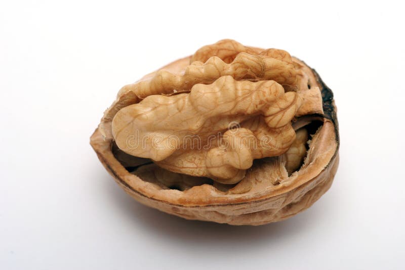 Nut 1 stock photo. Image of hard, food, caloric, calories - 265854