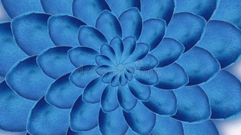 Opening of the Blue Flowers. Looped. Animation. Flowers Stock Footage ...