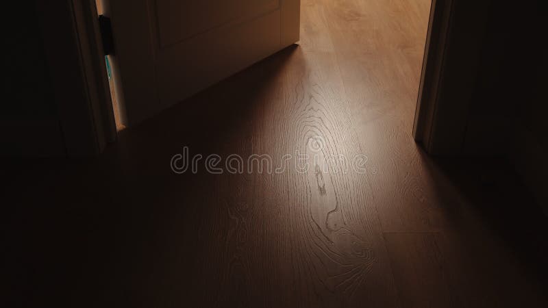 Opening Door at Home in the Night Stock Image - Image of interior ...