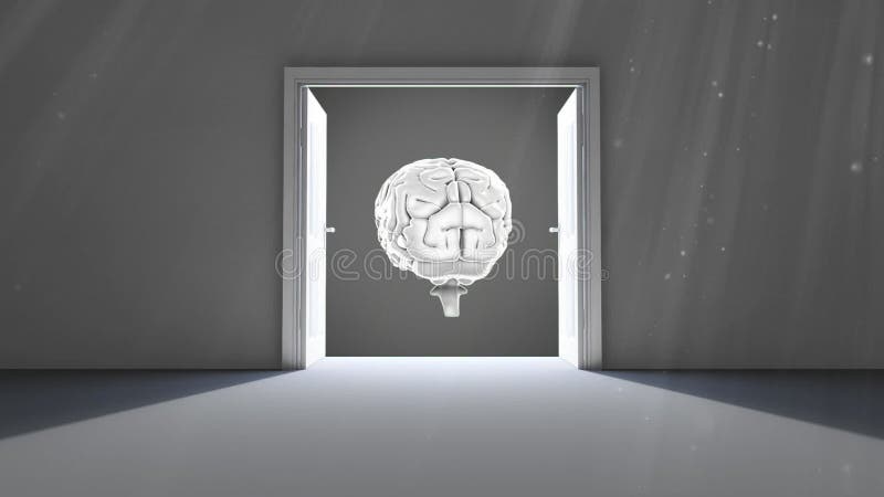 Double doors stock footage. Video of digital, doors - 144990000