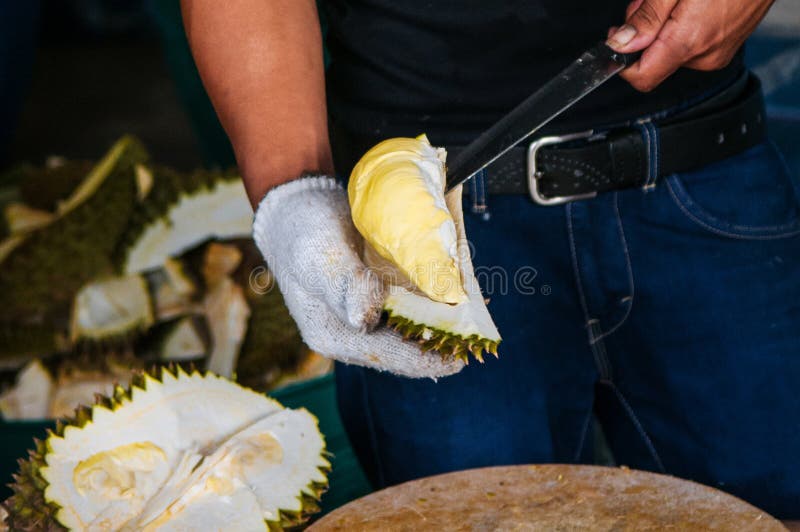Opening Durian with Hand and Knife Stock Image - Image of lifestyle ...
