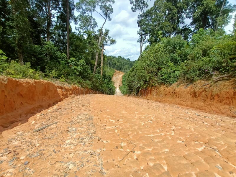 Opening of a New Access Road at Central of Borneo Stock Image - Image ...