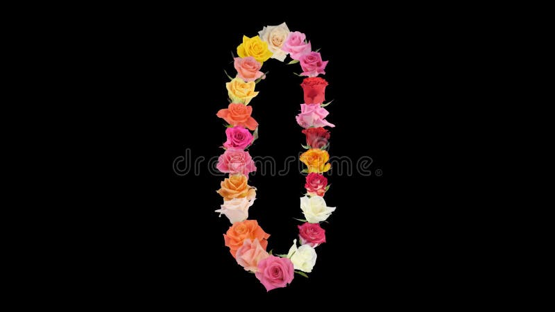 Opening Rainbow Roses in Number Seven Shape Stock Footage - Video of ...