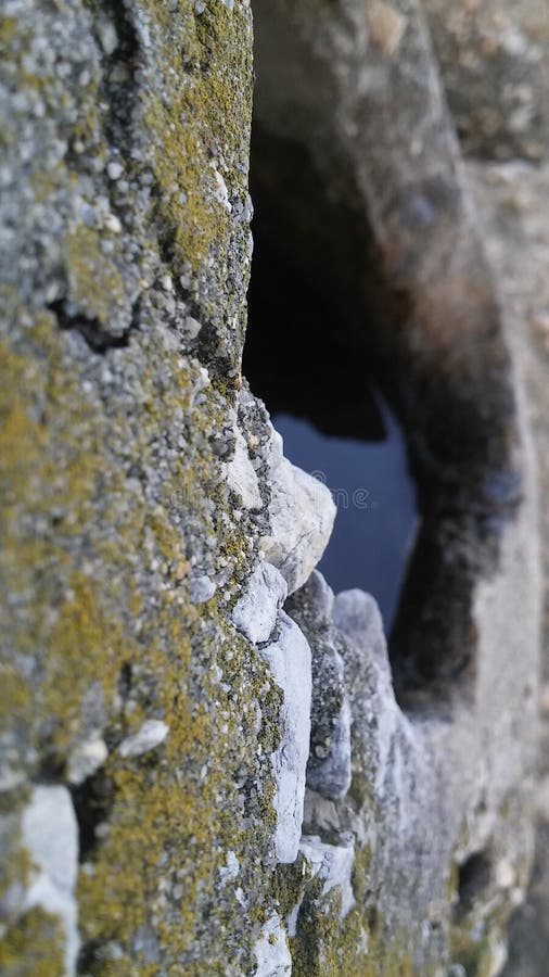 Opening stock photo. Image of opening, still, jersey - 66118352