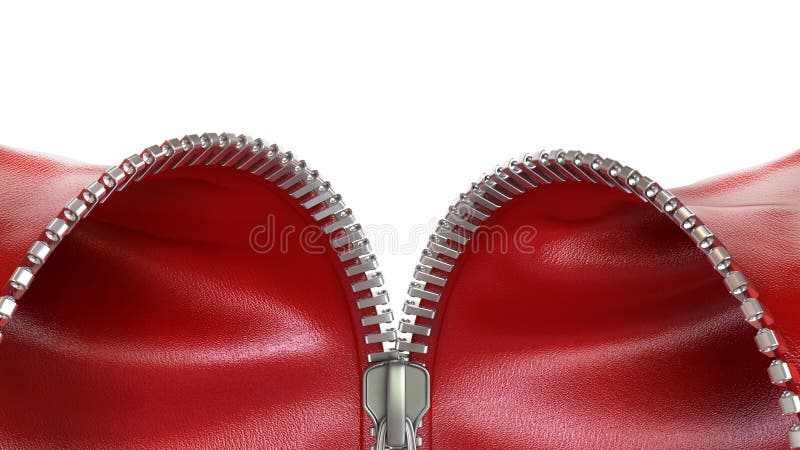 Opening zipper stock illustration. Illustration of fastening - 20550516
