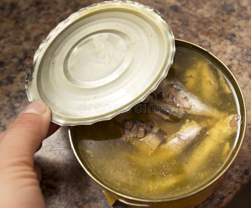Opens Canned Fish with a Can Opener Stock Image - Image of dinner ...