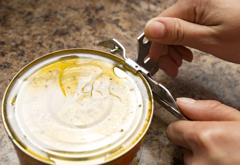 Opens Canned Fish with a Can Opener Stock Image - Image of dinner ...