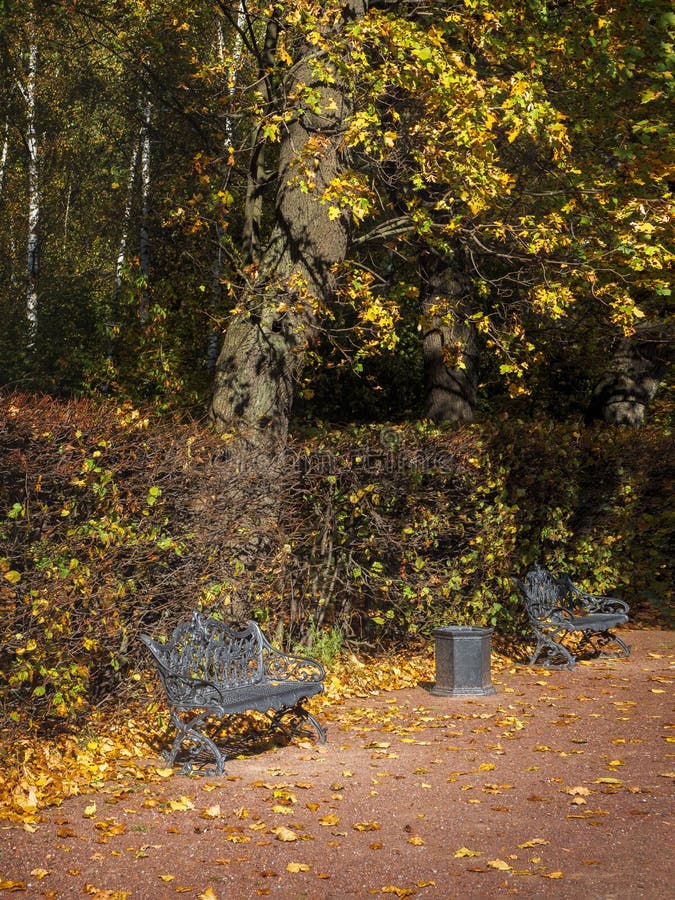 Openwork Cast-iron Bench Under an Autumn Tree Stock Image - Image of ...