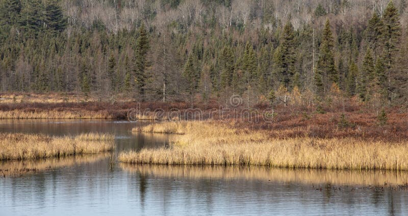 Opeongo Road Stock Photos - Free & Royalty-Free Stock Photos from ...