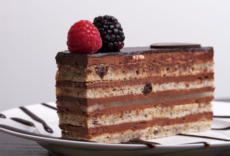 Opera Chocolate Cake stock image. Image of yummy, chocolate - 20465465