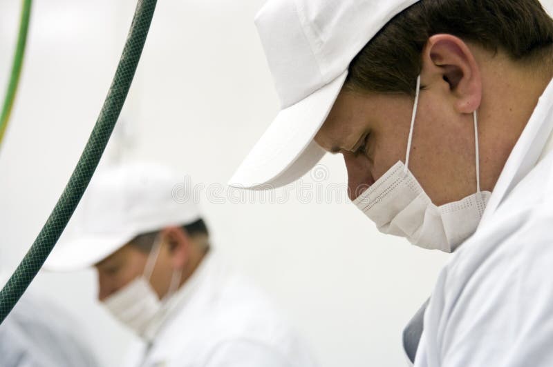 Operai immagine stock. Immagine di riga, protezione, maschio - 11401347