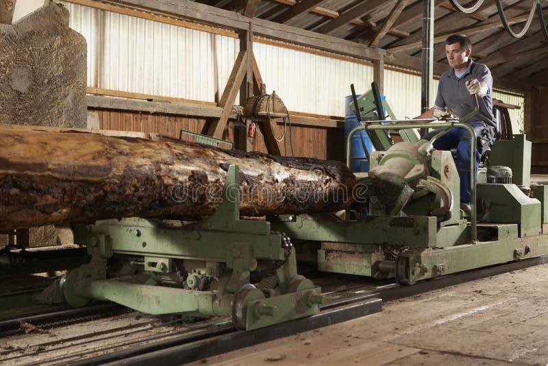 Operaio in segheria immagine stock. Immagine di muoversi - 11971445