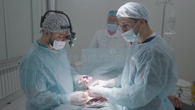 Operating Room during Operation with Two Surgeons. Action Stock Footage ...