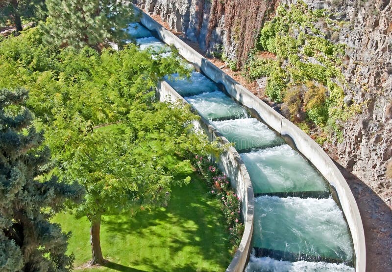 Operational Fish Ladder stock photo. Image of environment - 32579280