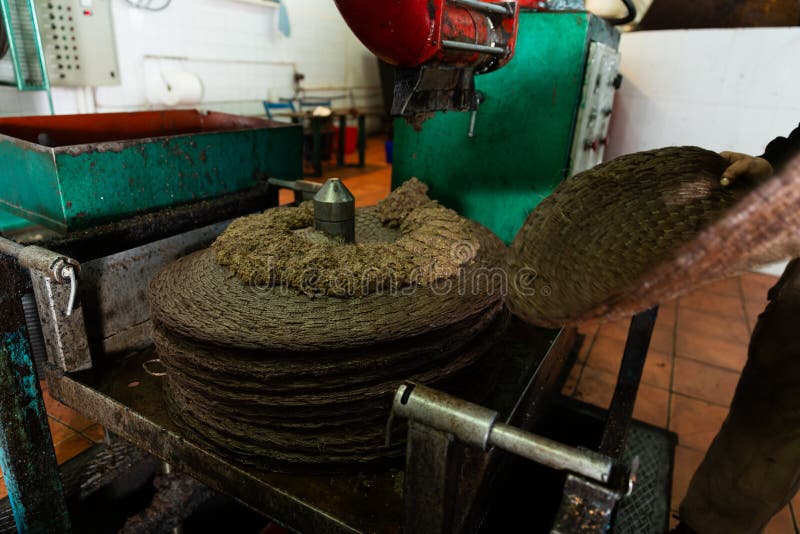Operator Stacking Fiber Disks with Olive Paste Stock Photo - Image of ...