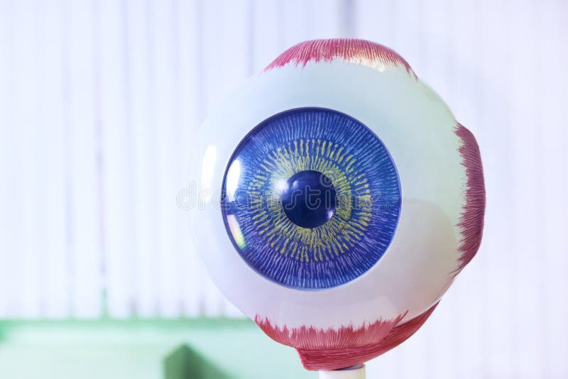 Ophthalmology Oculus Sample Closeup Stock Image - Image of curatio ...