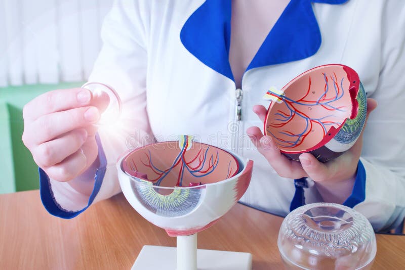 Ophthalmology Oculus Sample Closeup Stock Image - Image of myopia ...