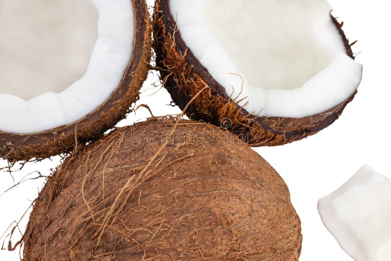 Partes Do Coco Isoladas No Fundo Branco Com Trajeto De Grampeamento ...