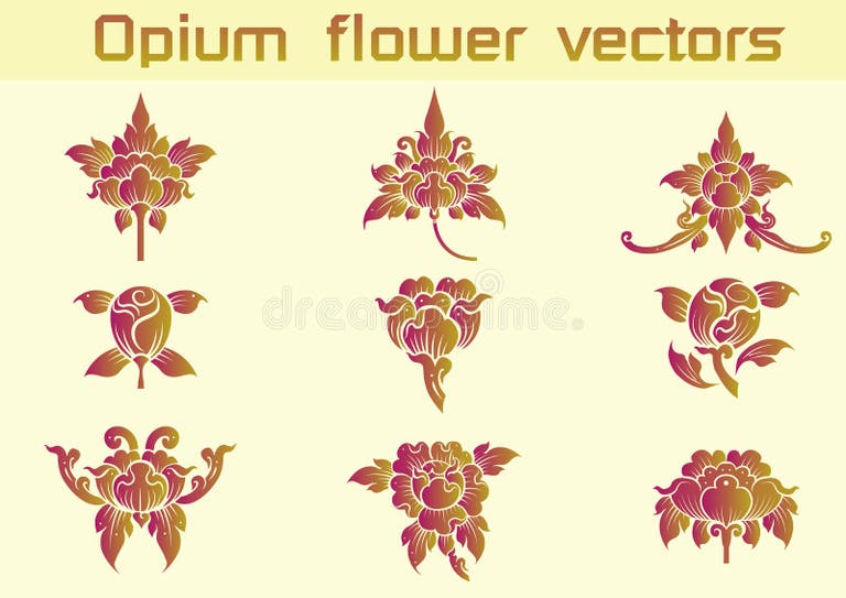 Opium Floral Pattern Vectors on White Background Stock Vector ...