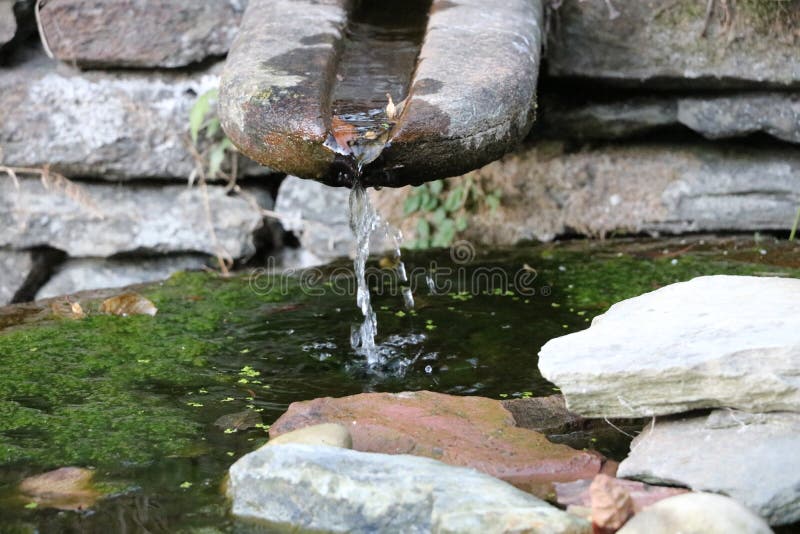 Oporto Botanical Garden Water Source Stock Photo - Image of historical ...