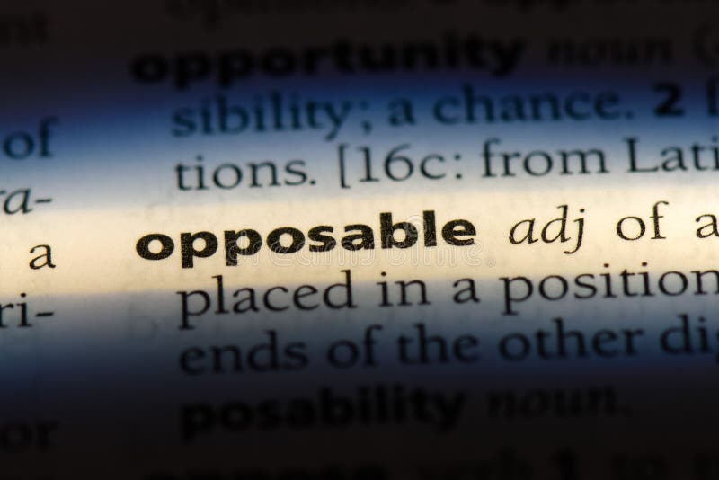 118 Opposable Stock Photos - Free & Royalty-Free Stock Photos from ...