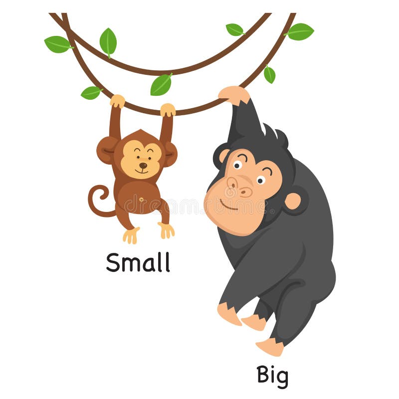 Opposite Big and Small Illustration Vector, Opposite English Words Big ...