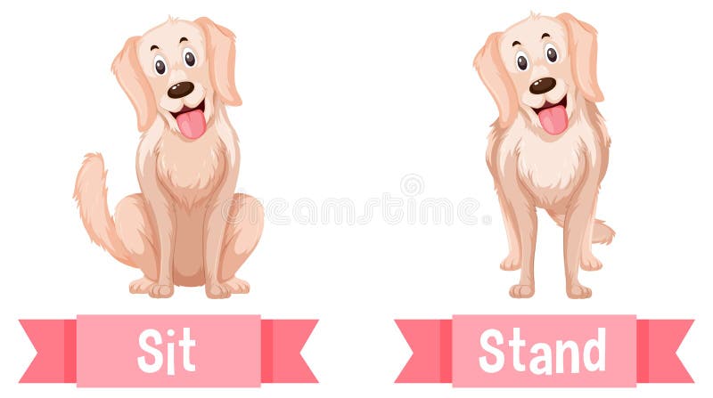 Opposite English Words Sit and Stand Stock Vector - Illustration of ...