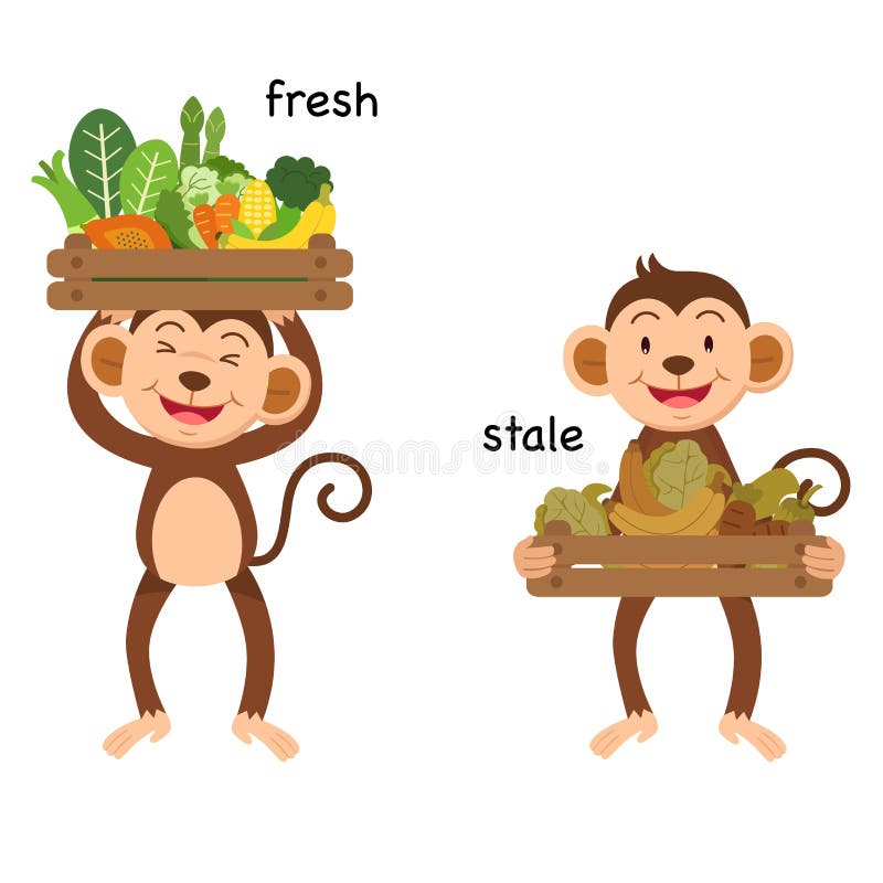 Stale Stock Illustrations – 1,750 Stale Stock Illustrations, Vectors ...