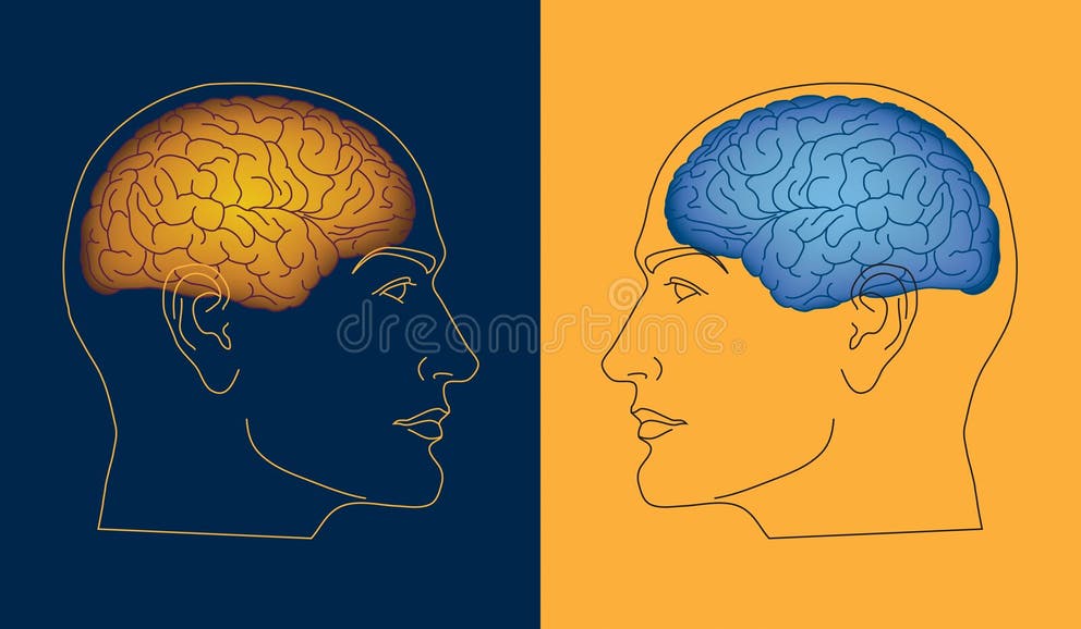 Opposite Minds stock vector. Illustration of hemisphere - 12917307
