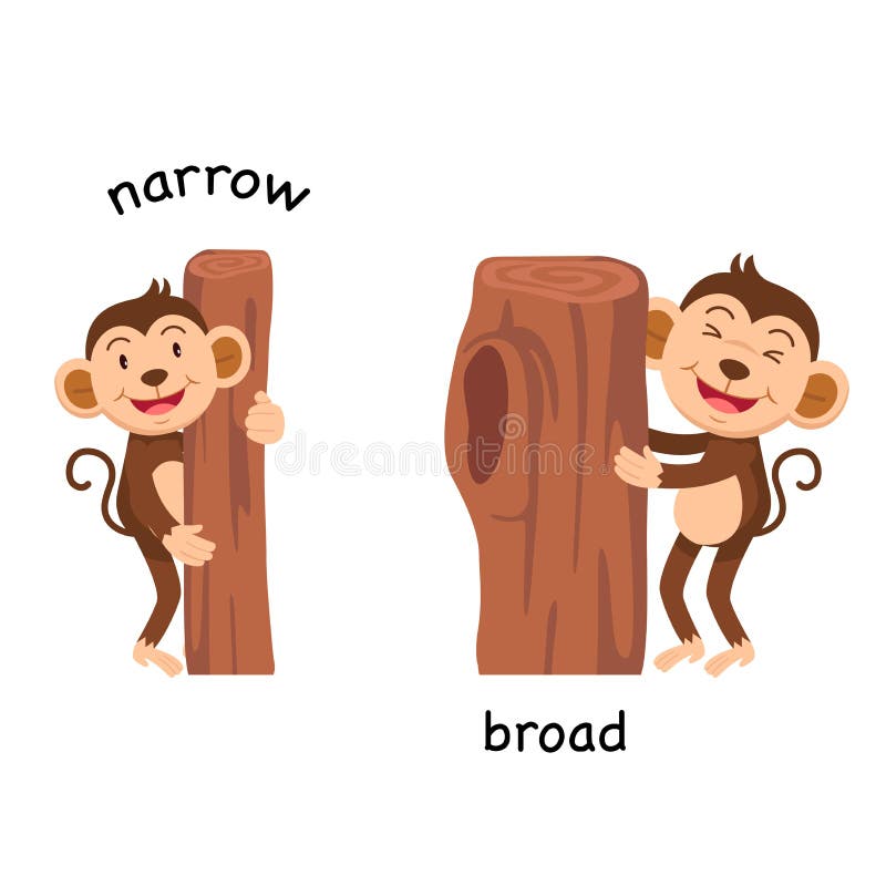 Narrow Broad Stock Illustrations – 511 Narrow Broad Stock Illustrations ...