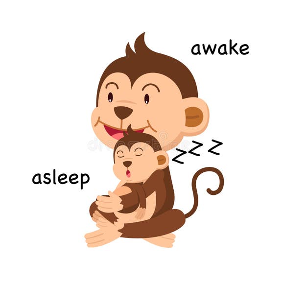 Opposite Monkey Stock Illustrations – 179 Opposite Monkey Stock ...