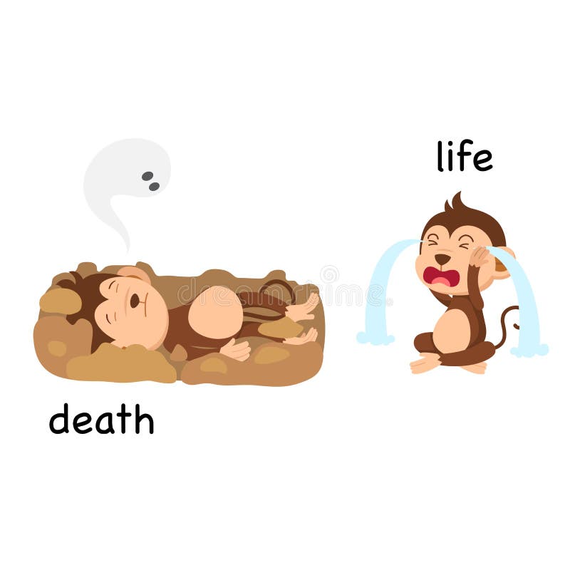 Opposite Words Death and Life Vector Stock Vector - Illustration of ...