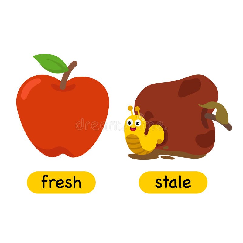 Opposite Words Fresh and Stale Stock Illustration - Illustration of ...
