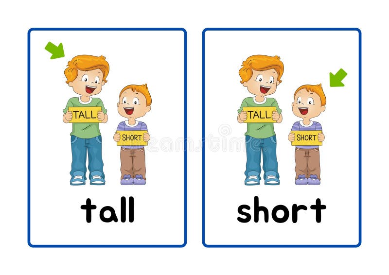 Opposites Flashcard - 11 stock illustration. Illustration of flashcard ...