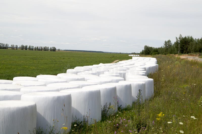 Grote Baal Van Stro Op Het Gebied Een Ronde Vorm Stock Foto - Image of ...