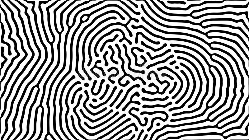 Radiating Optical Art with Black and White Lines Stock Vector ...