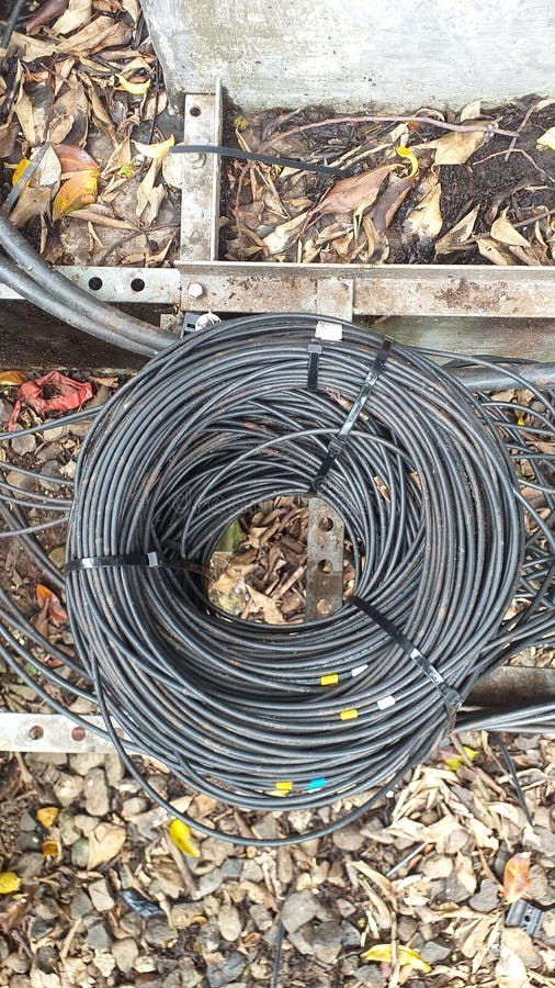 Optical Cabel Radio Frequency Signal Stock Photo - Image of optical ...