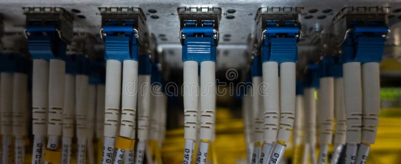 Optical Cables Connected To the Server Rack Stock Image - Image of ...