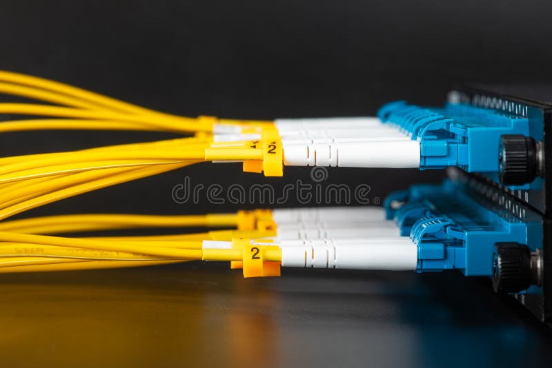 Optical Distribution Panel with Optic Patch Cord Cables Stock Image ...