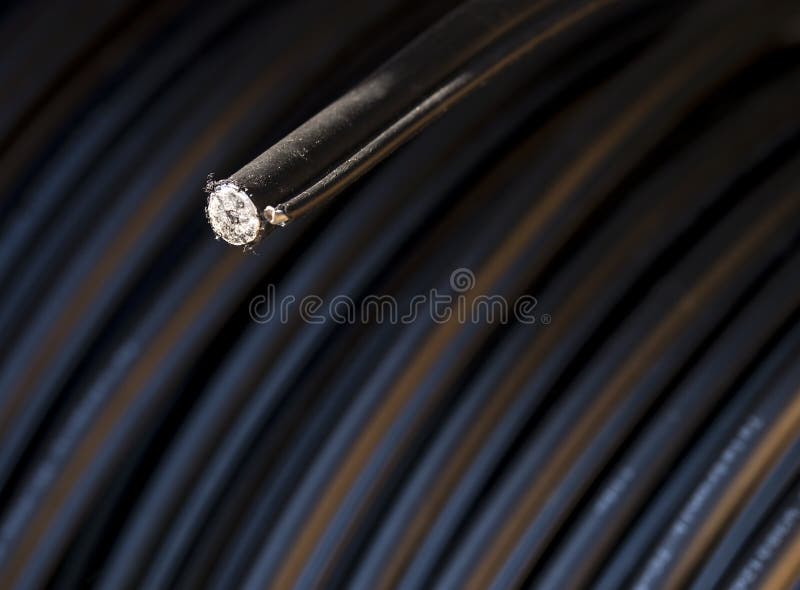 Stripped Optical Fiber Cable Stock Photo - Image of structure, data ...