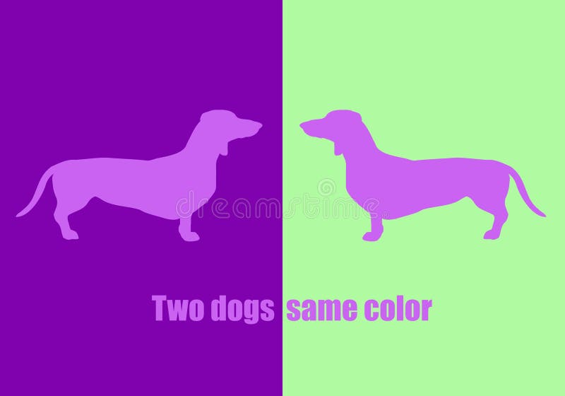 Optical Illusion: Both Dogs Have the Same Color. Illustration Stock ...