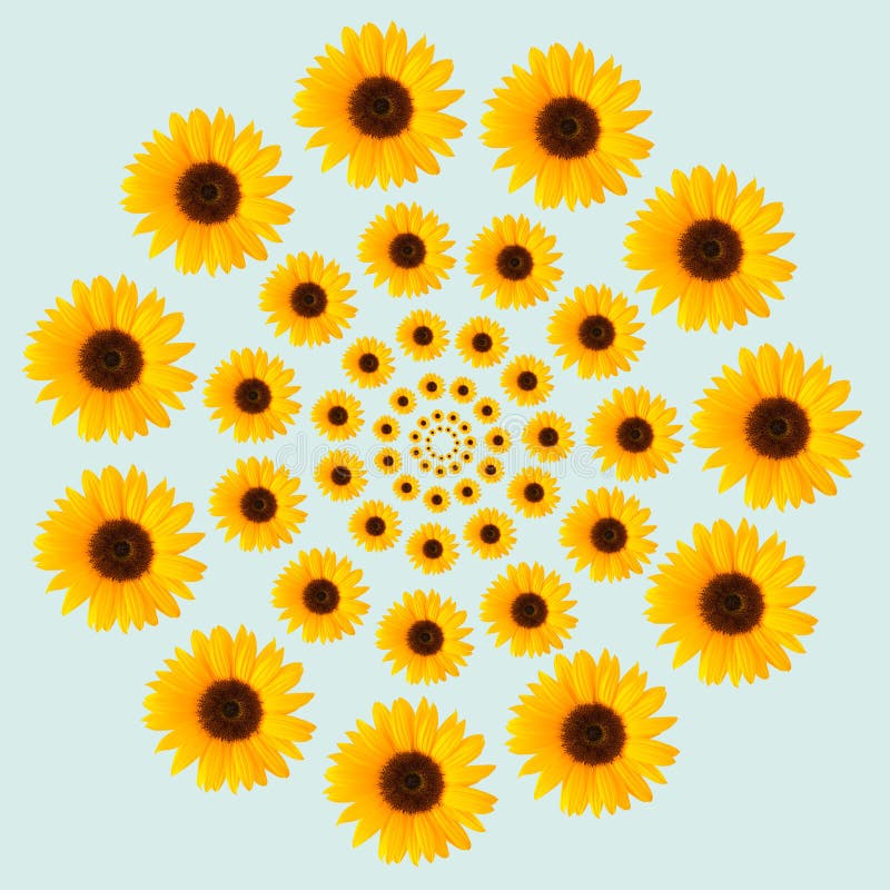 415 Flower Optical Illusion Stock Photos - Free & Royalty-Free Stock ...