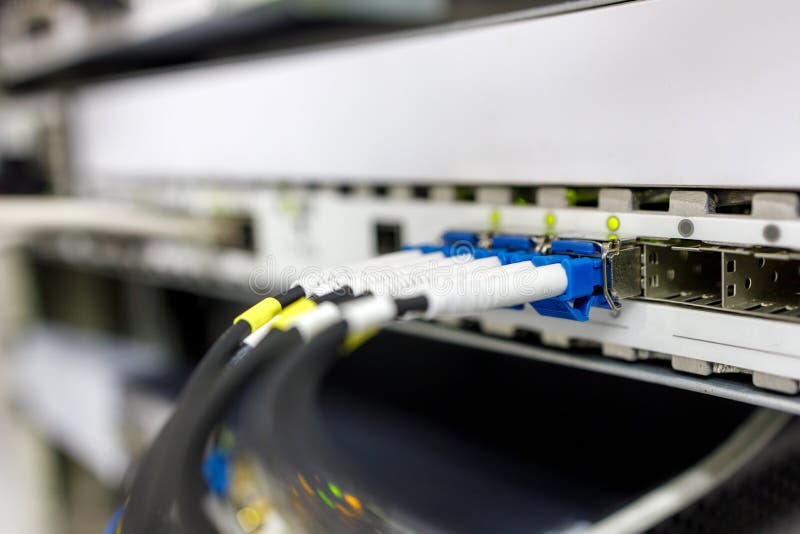 Optical Patch Cords are Inserted into the Switch in the Server Room ...